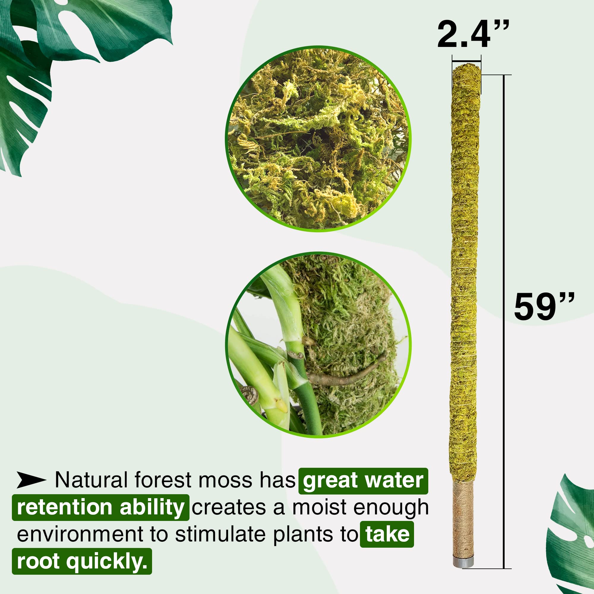 DUSPRO 59ββ Inches Large Moss Pole for Plants Monstera, Tall Indoor Plant Stake Support for Big Climbing Pothos Long Handmade Forest Moss Totem/Giant Trellis (Extra Large Size)