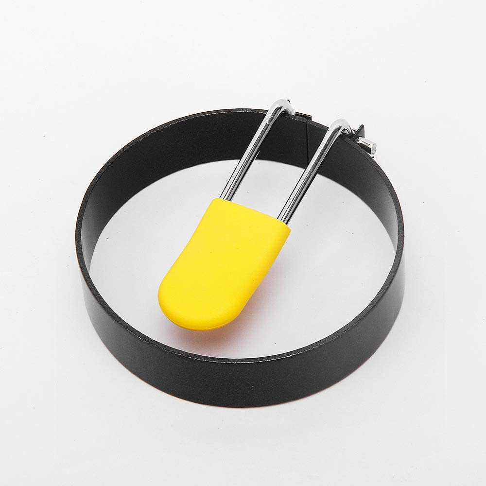 GUAGLL 4Pcs Omelette Model Egg Ring Iron Spray Non-stick Round Omelette Model with Silicone Brush