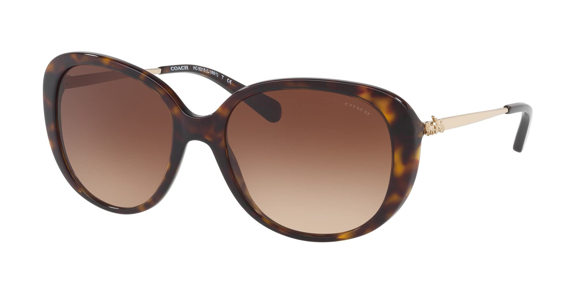 Coach Sunglasses HC 8215 F Asian fit 548513 Dark Tortoise