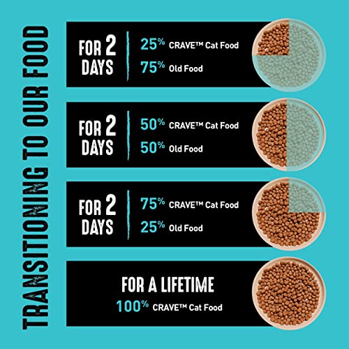 CRAVE Grain Free Adult High Protein Natural Dry Cat Food with Protein from Salmon & Ocean Fish, 10 lb. Bag