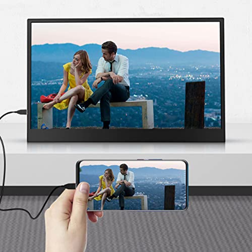 Jeanoko Portable Monitor, 1920x1080 Multiple Display Modes LCD Screen 13.3 Inch Gaming Monitor 16:9 for Laptop for Computer for Mobile Phone