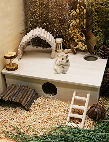 Rubor Multi-Chamber Hamster House Maze, Hamster Hideout Small Pets Woodland House Habitats Decor, Hamster Tunnels Activity Hamster Burrow for Hamster Mice Gerbils Lemming