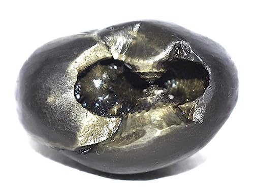 Rudrakshguru Laxmi Narsimha Shaligram