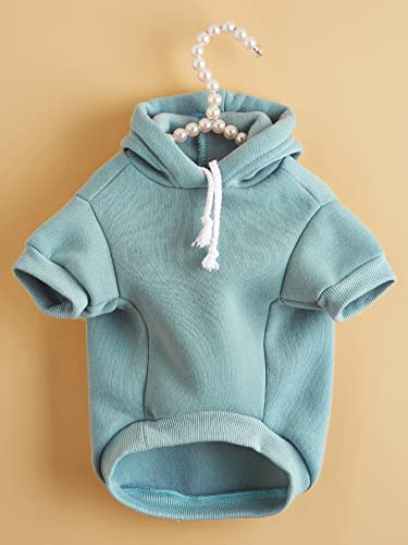 QWINEE Basic Dog Hoodie, Dog Warm Jacket, Cat Apparel, Dog Shirt, Dog Clothes for Puppy Kitten Small Medium Dogs Cats Cadet Blue XL