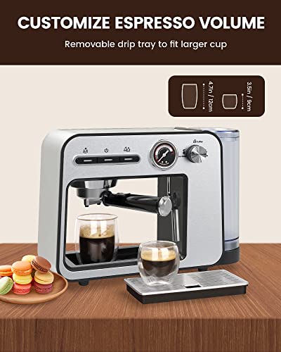 Teglu Espresso Machine 20 Bar with Milk Frother, Semi-Automatic Latte & Cappuccino Coffee Maker Duo-cup 33oz/1L Removable Water Tank for Home/Office, 1450W, Stainless Steel