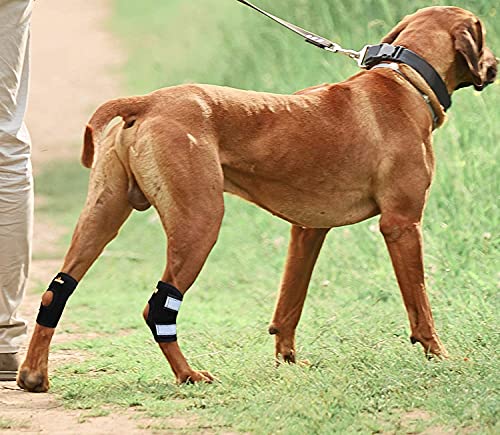 NeoAlly Super Supportive Dog Braces for Rear Leg and Hock Joint with Dual Metal Spring Strips Stabilize Canine hind Legs from Wound, Injury, Sprains, Arthritis (XL Pair)