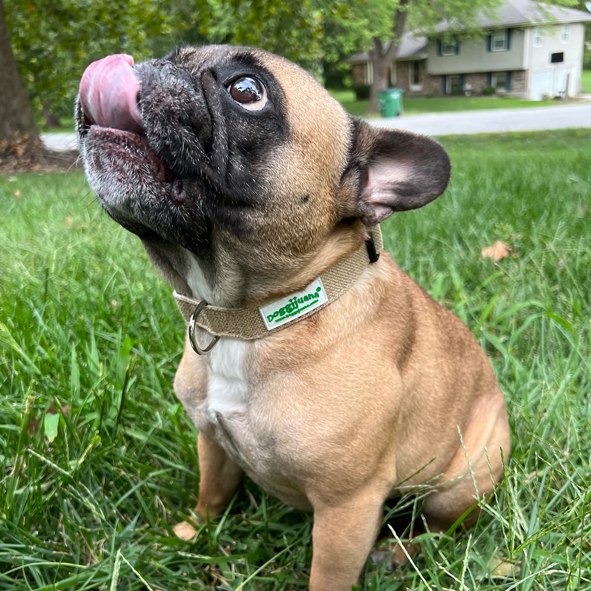 Doggijuana | Durable and Adjustable Hemp Dog Collar and Leash Bundle | Large Collar/Large Leash