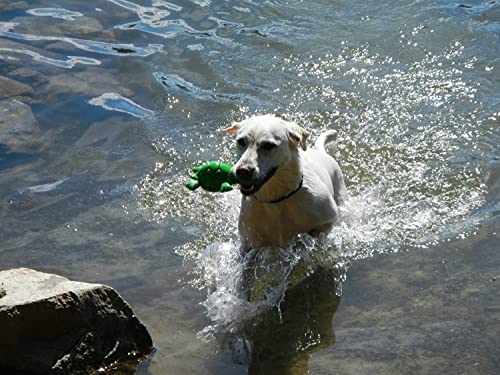 Cycle Dog 3-Play Hippo Dog Toy, Ecolast Post Consumer Recycled Material, Blue