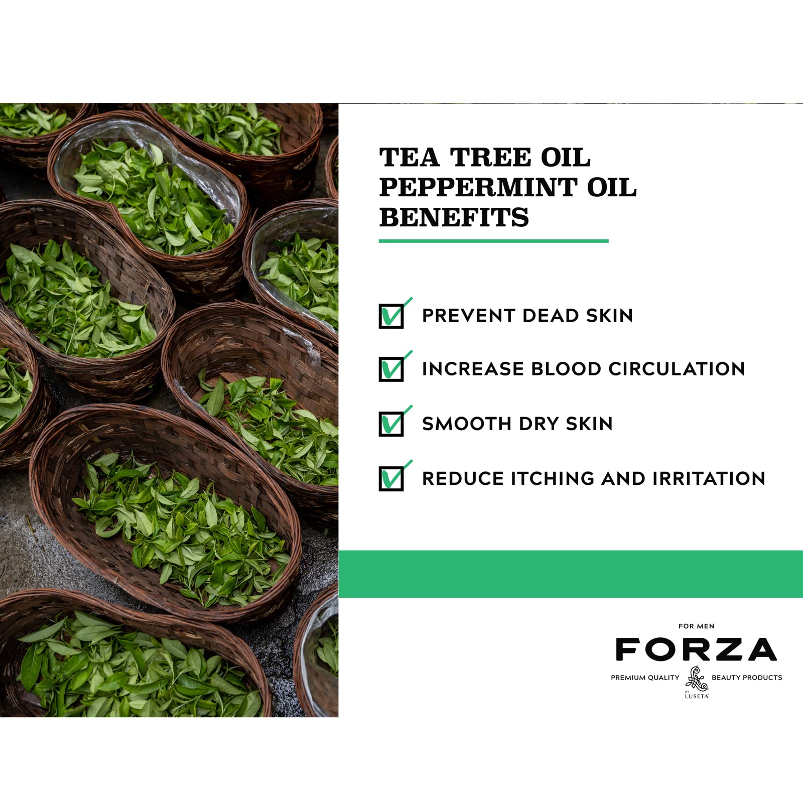 Forza 2 in 1 Shampoo and Conditioner for Men with Tea Tree & Peppermint Oil, Fresh and Clean for All Style Hair,16.9oz