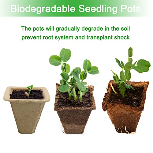 Fooyekep Seed Starter Tray,20 Pack Peat Pots for Seedlings,240 Cells Biodegradable Seed Starter Pots Germination Trays,Organic Seed Starter Kit with 20 Pcs Plant Labels