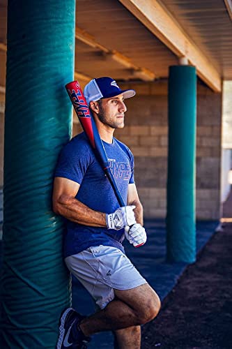 Easton | HYPE Baseball Bat | USSSA | -5 / -10 Drop | 2 5/8" Barrel | 2 Pc. Composite
