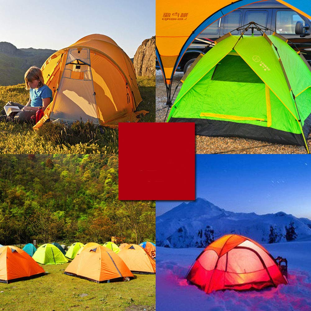 DDfishing 16 Pieces Camping Tent Stakes Nail Board Gap Deck Nail Camping Windproof Rope Camp Anchor Bolt Adjustment Buckle Fish Bone-Shape