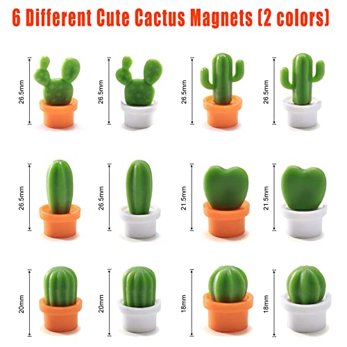 Fridge Magnet, 48 Pcs Refrigerator Magnets for Whiteboard, Cute Magnets Fridge, 6 Different Shaped Cactus Locker Magnets, Strong Fridge Magnets Fun Decorative Magnets for Fridge Kitchen Office