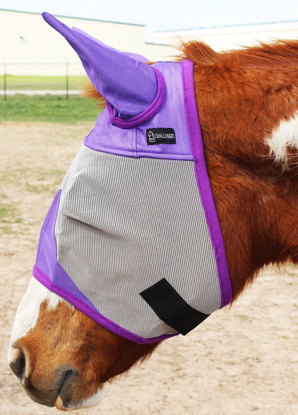 Equine Horse FlyMask Summer Spring Airflow Mesh 73294