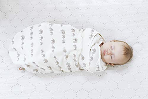 Ergobaby Swaddler Fly Me Away Baby Sleeping Bag, Swaddle Wrap with Hip Positioner and Arm Pouches, 100% Cotton