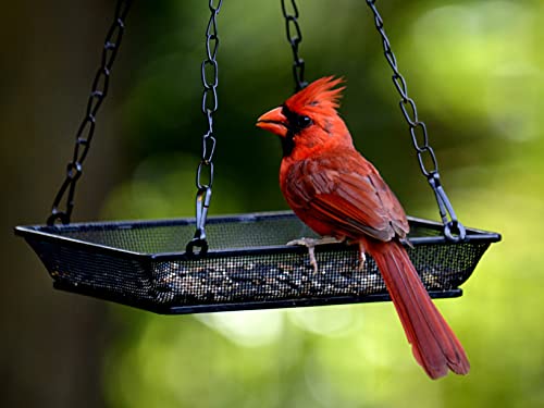 Hanging Bird Feeder Tray Platform Metal Mesh Seed Tray for Bird Feeding Outdoor Garden Decoration for Wild Backyard Attracting Birds