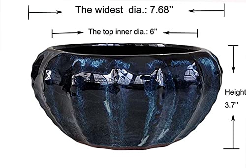 Fowargif 8inch Modern Large Shinny Black Ceramic Bonsai Pot,Cactus pots,Ceramic Plant Pot for Orchids,Decorative Orchid pots with Hole (Midnight Black)