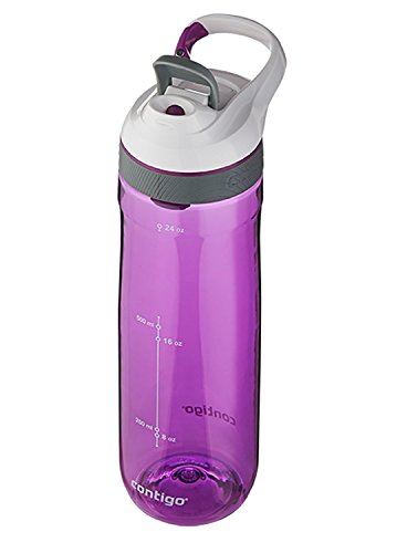 Contigo AUTOSEAL Cortland Water Bottle, 24 oz, Radiant Orchid