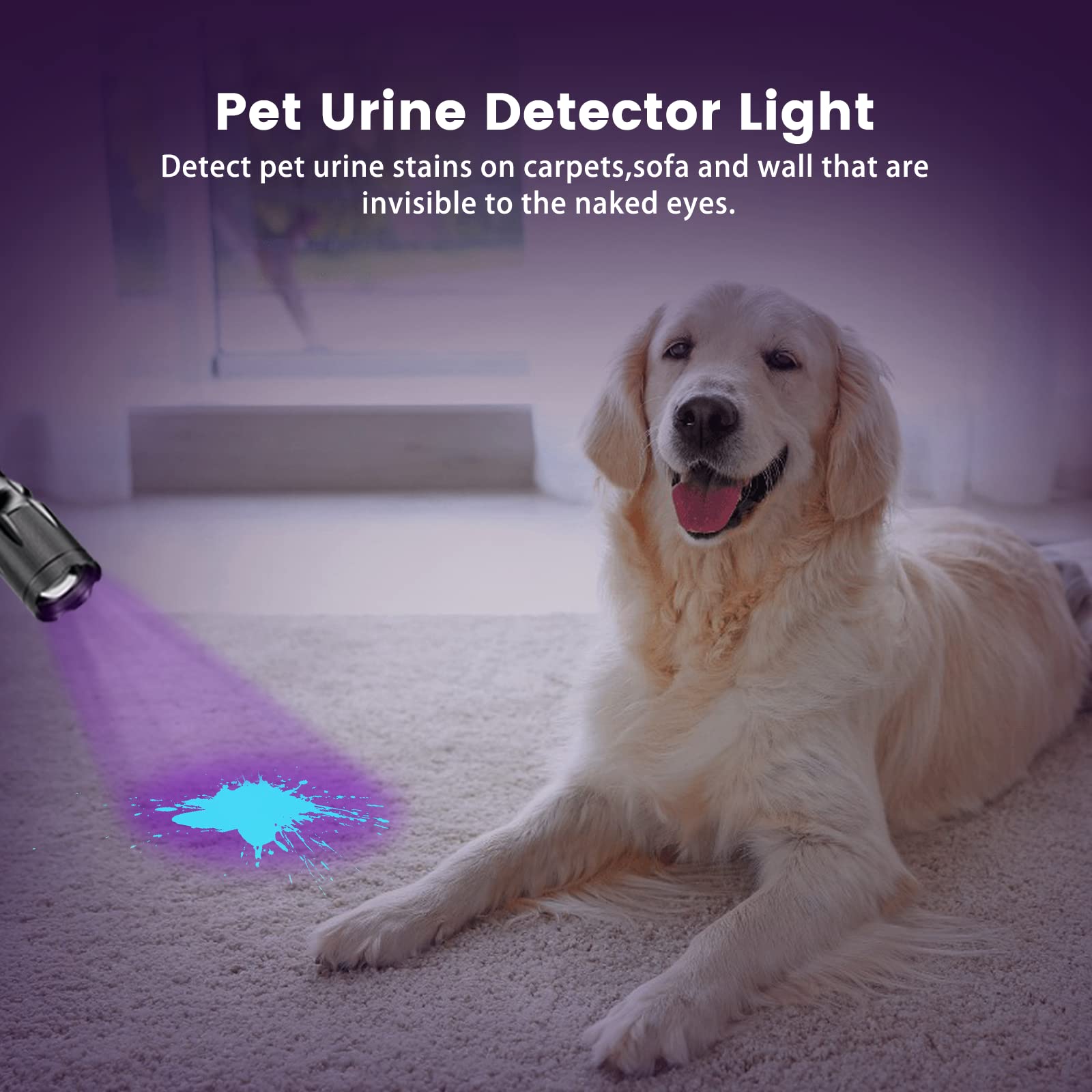 EOWCO UV Flashlight 365nm & 395nm, Ultraviolet Black Light Flashlights, Handheld Zoomable Blacklight Torch Wood's Lamp, Detector for Pet Urine Dry Stains, Resin Curing, Rocks, Scorpions Finder