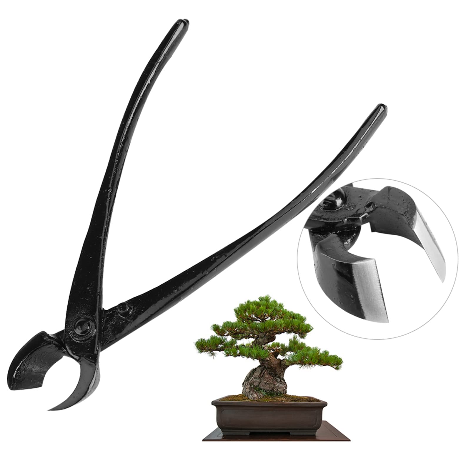 GLOGLOW Bonsai Branch Cutter, Branch Cutter, Round Branch Cutter for Garden Yard Indoor Backyards