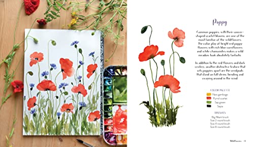 Wildflower Watercolor: The Beginner’s Guide to Painting Beautiful Florals
