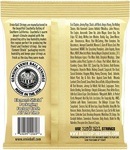 Ernie Ball Folk Nylon Clear & Gold Ball-End 80/20 Bronze Acoustic Guitar Strings, 28-42 Gauge (P02069)