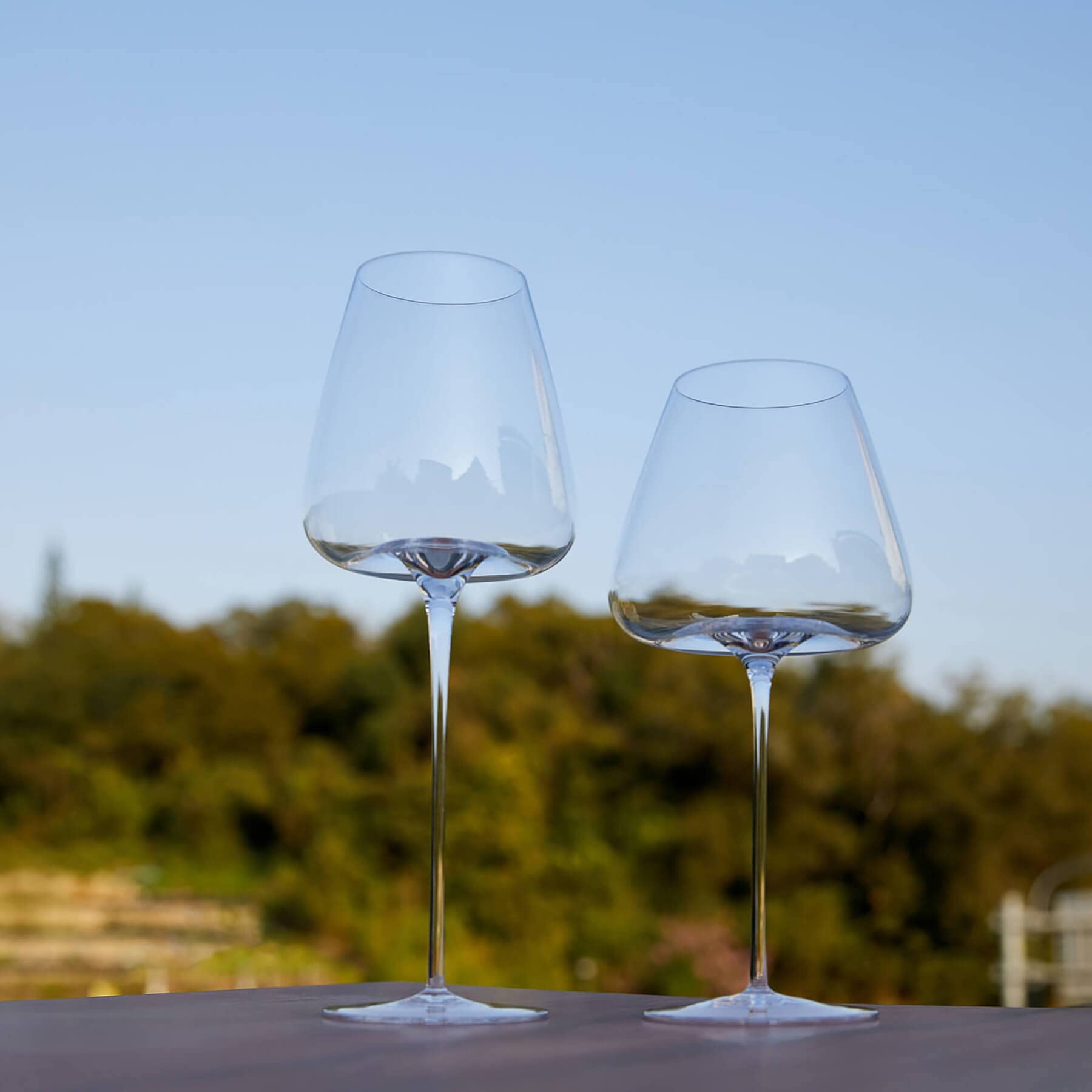 EUNA Red Wine Glasses - Extremely thin White Wine Glasses Burgundy Hand Blown Stemware Crystal Clear Long Stem Large Glassware as Gift (25 oz)