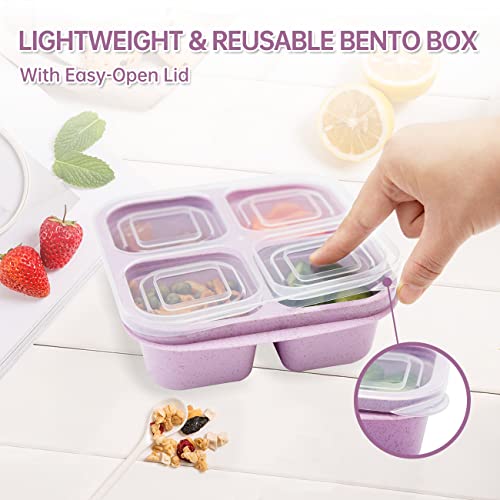 Luriseminger 4 Pack Bento Lunch Box,4 Compartment Snack Containers,Divided Bento Snack Box,Meal Prep Containers Kids/Toddle/Adults,Food Storage Containers for School, Work and Travel