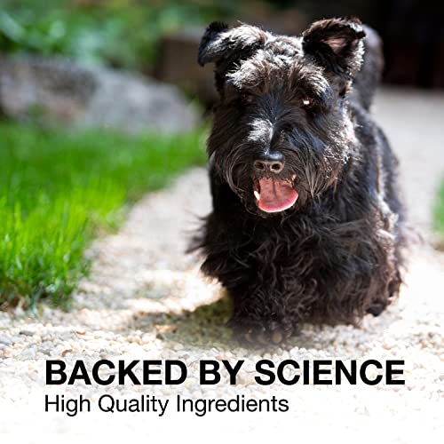 Nutramax Denosyl Liver and Brain Health Supplement for Medium Dogs - With S-Adenosylmethionine (SAMe), 30 Tablets