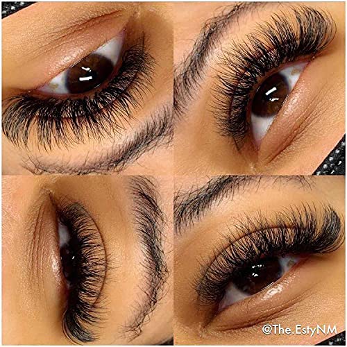Eyelash Extensions 0.05 C Curl 13mm Lash Extensions Supplies Individual Lashes Premium Silk Volume & Classic Lash Soft Matte Dark Professional Eyelashes Extension (0.05-C-13mm)