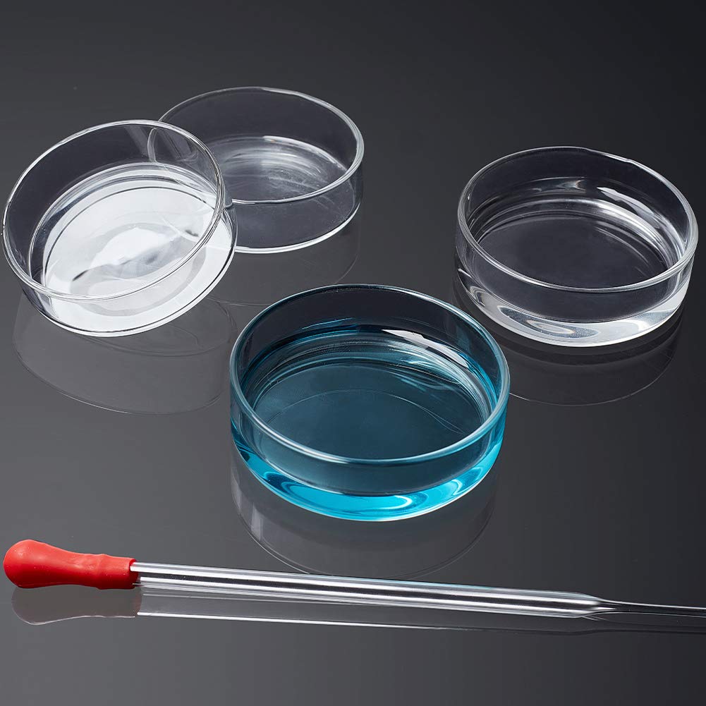 OLYCRAFT 6PCS Glass Petri Dishes High Borosilicate Glass Bacterial Culture Dishes with Lid 60mm Dia x 18mm Deep with 2pcs Glass Culture Plate for Laboratory School Science Project