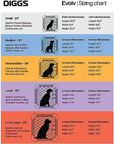 Diggs Evolv Dog Crate I Strong and Modular Design I Sturdy Playpen I Paw Safe Mesh I Built to Last for Puppies and Canines I (Large, Ash)