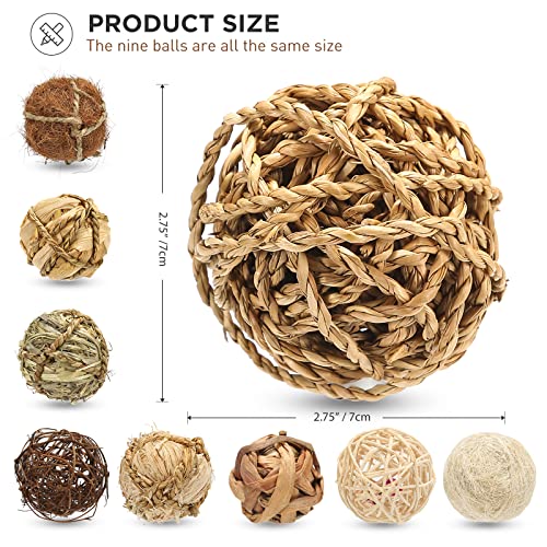 DAMPET Small Animals Play Balls, Chew Grass Balls & Rolling Chew Toys for Bunny, Improve Pets Dental Health for Rabbit, Chinchilla, Guinea Pigs, Hamsters, Gerbils, Rats, Mice (9 Pieces)