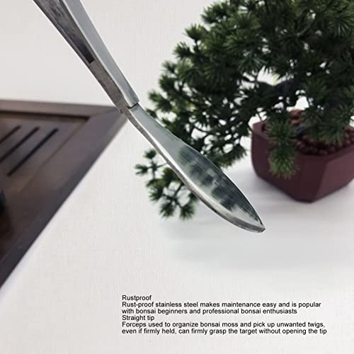Kadimendium Bonsai Spatula Tweezers, Rustproof Stainless Steel Bonsai Tweezers Removing Moss Straight Tip Easy Maintenance Soil Loosening Tool for Garden
