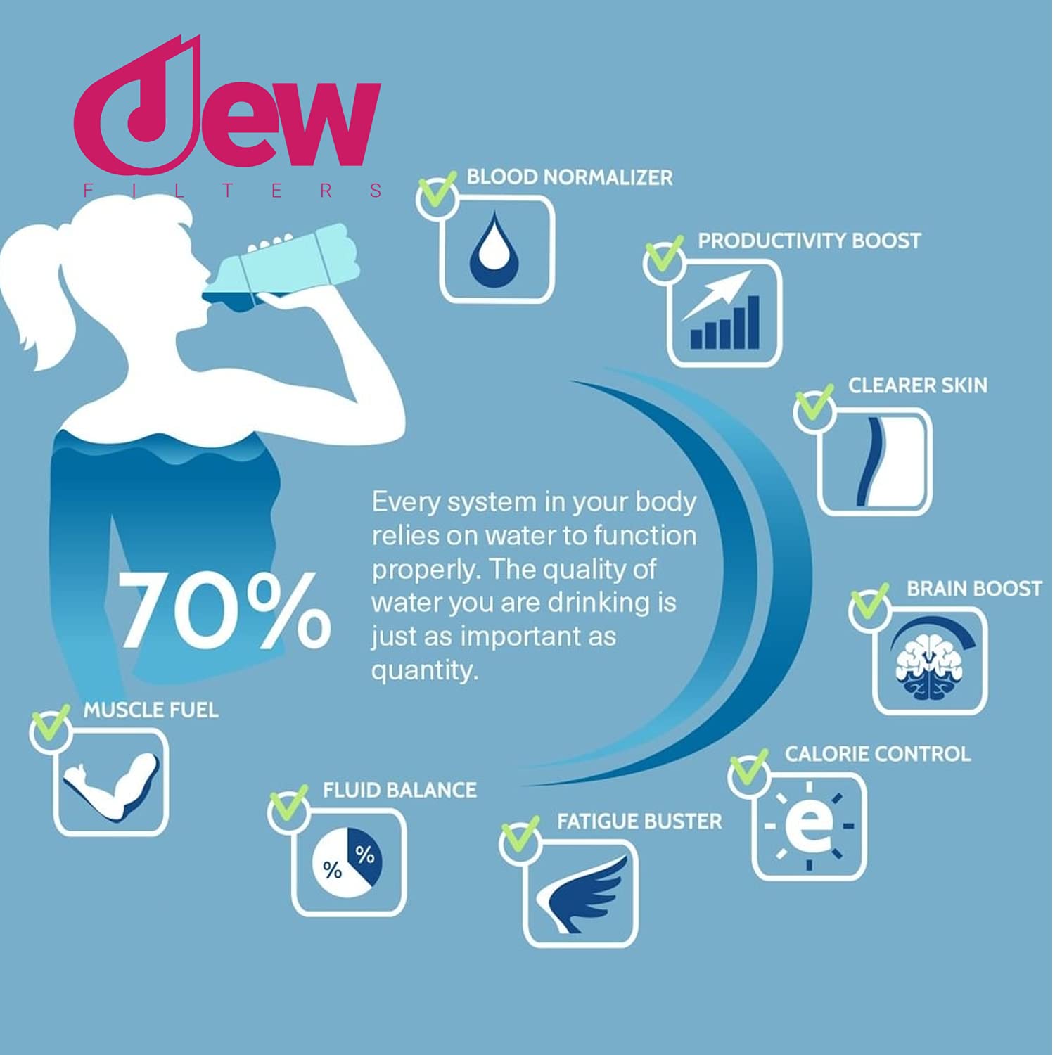 DEW FILTERS UK | BB9-2 Black Water Filter Purification Compatible Elements | PLUS PRIMER BUTTON | Traveler, Nomad, King, Big Series & Doulton Super Sterasyl | Gravity Purifier Filters