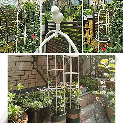 Garden Trellis for Climbing Plants, Rustproof Metal Pipe with Heavy Duty 6ft, Garden Outdoor Indoor Potted Plant Support（White）…