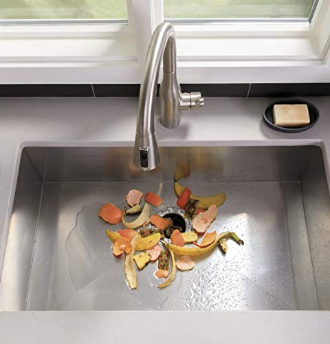 GE Continuous Feed Garbage Disposal, 3/4 Horsepower & 2,700+ RPM, Good for Grinding: Small Bones, Vegetable Peels, & Fruit Pits, Easy Install Kit Included, Non-Corded, GFC720N