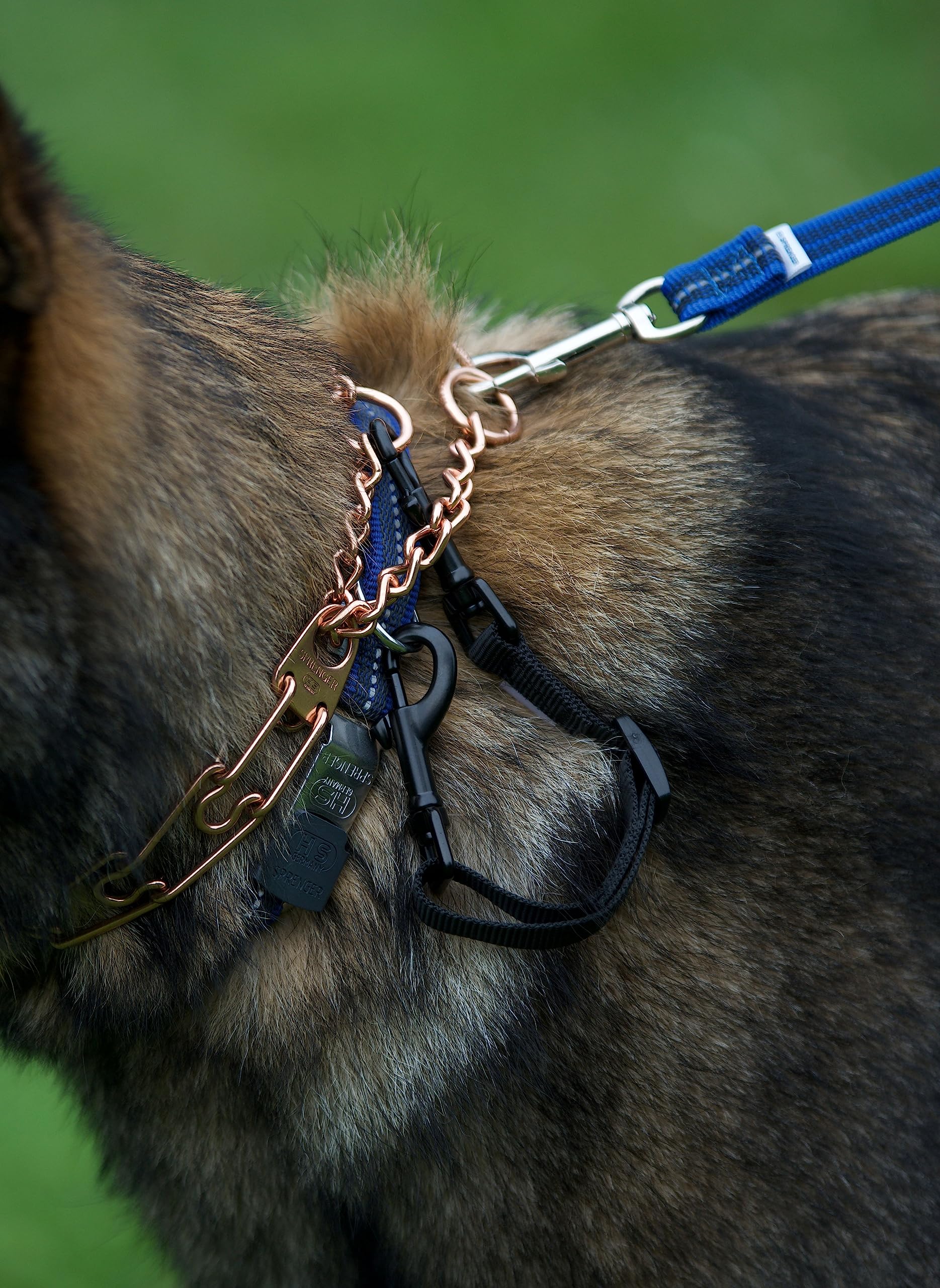 HS Herm. Sprenger Prong Collar Safety Clip (Black) 6"-8" - Pack of 1 Dog Leash Safety Strap - Enhanced Durability for Secure Leash Connection - Ideal for Safe Walk and Training