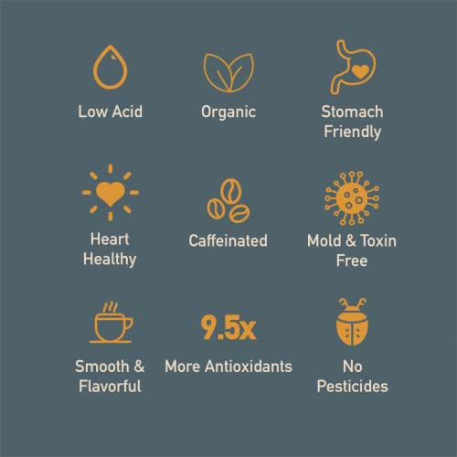 Healthy Bean Low Acid Coffee Pods, Superfood Infused, USDA Organic, Mycotoxin Free, Semi-Dark Roast, 12 Pack
