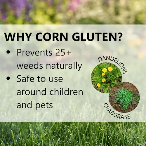 Jonathan Green 11591 Corn Gluten Lawn Fertilizer, 10-0-2 Formula, 5,000-Sq. Ft. Coverage - Quantity 1
