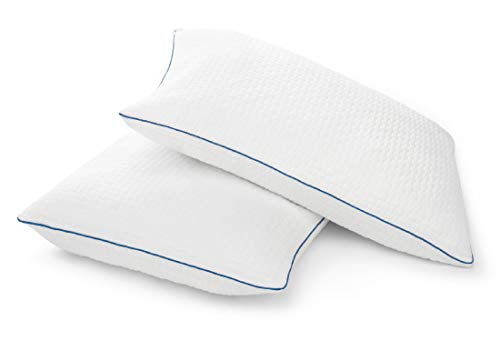 Sleep Innovations Shiloh Medium Memory Foam Mattress, 14 Inches, Queen & Premium Shredded Gel Memory Foam Pillows, Queen (Pack of 2)