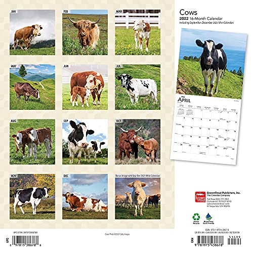 Cows 2022 12 x 12 Inch Monthly Square Wall Calendar, Domestic Farm Animals