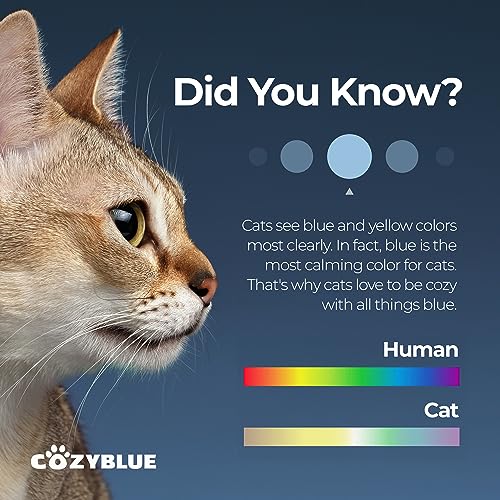 COZYBLUE Self Cleaning Cat Litter Box, ALWAYS-OPEN DESIGN GUARANTEES 100% SAFETY for YOUR CAT; Extra Large Space for Multiple Cats; Latest Model No App Needed Automatic Odor Removal [1-Year Warranty]