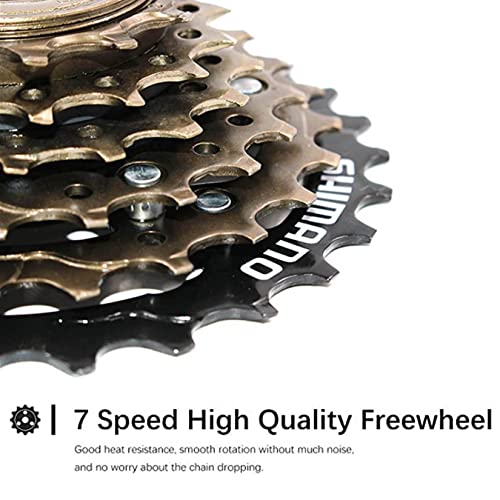 Dinling Mountain Bike, 21 Speed 26 Inch Adults Bicycle for Men and Women Shipped from CA (A-White)
