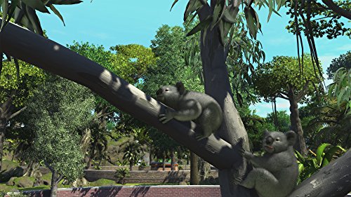 Zoo Tycoon Definitive Edition - XBONE