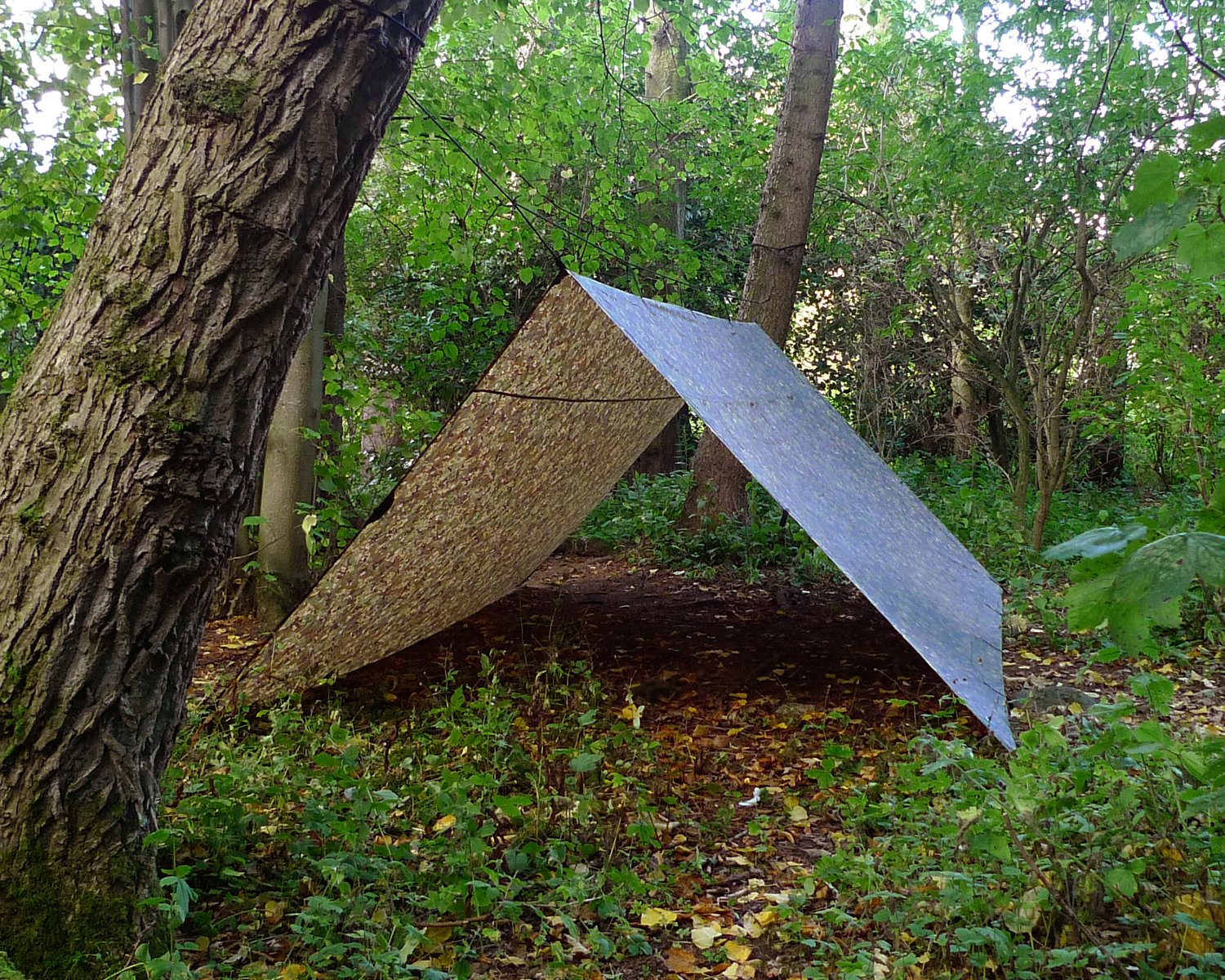 DD Hammocks Tarp 4x4 - MC (13ft x13ft**) - 100% Waterproof - Lightweight & Multifunctional Rainfly Square Camo Tarp Tent Group Shelter for Camping Bushcraft & Scouts