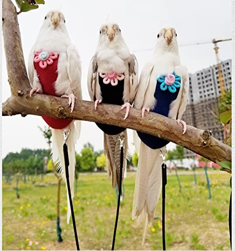 Yu~'s north Bird Diaper Harness Flight Suit Clothes with Flying Leash for Parrots Cockatiel Pet Birds, Parrot Clothes, Bird Training Nappy Suit Liners Clothes (M, Red), Medium