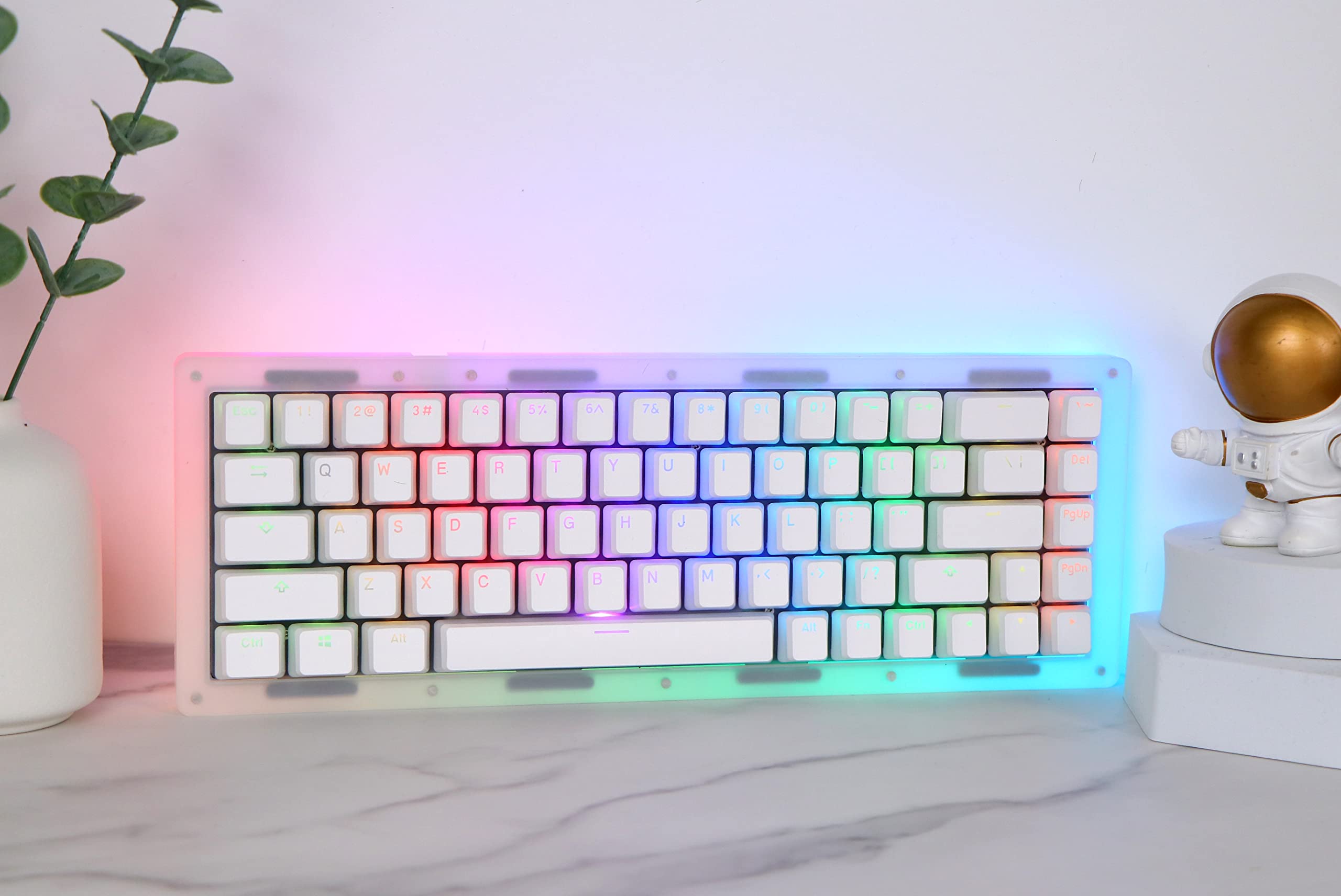 EPOMAKER TK68 65% Gasket Acrylic Hot Swappable 2.4Ghz/Bluetooth 5.0/USB-C Wired Wireless Gaming Keyboard with RGB Backlight, Translucent Pudding Keycaps for Office/Home/Win/Mac(Budgerigar Switch)