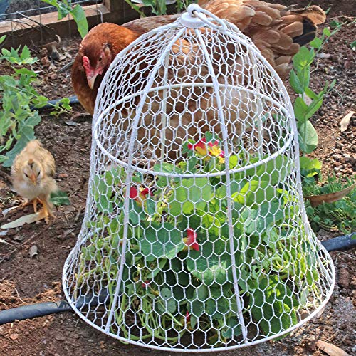HEIDI & OLAV 3 Pack 20" & 3 Pack 14" Chicken Wire Cloche for Plants Squirrel Proof Metal Plant Cover Cage Garden Animal Protection Metal Plant Cage Protector Dome Rabbit Bunny Guard