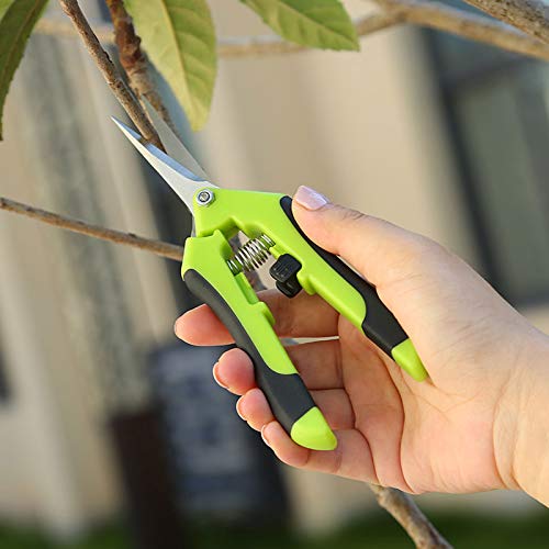 HAKZEON 10 Pack 6.5 Inch Professional Bud Trimming Scissors,Stainless Steel Micro-Tip Gardening Hand Pruners with Straight Blades, for Easy Pruning Garden Tree Pot Plant Flowers